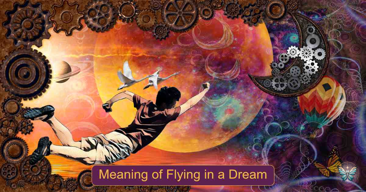 Meaning of Flying in a Dream (Without Wings) - Inspirited Nudges